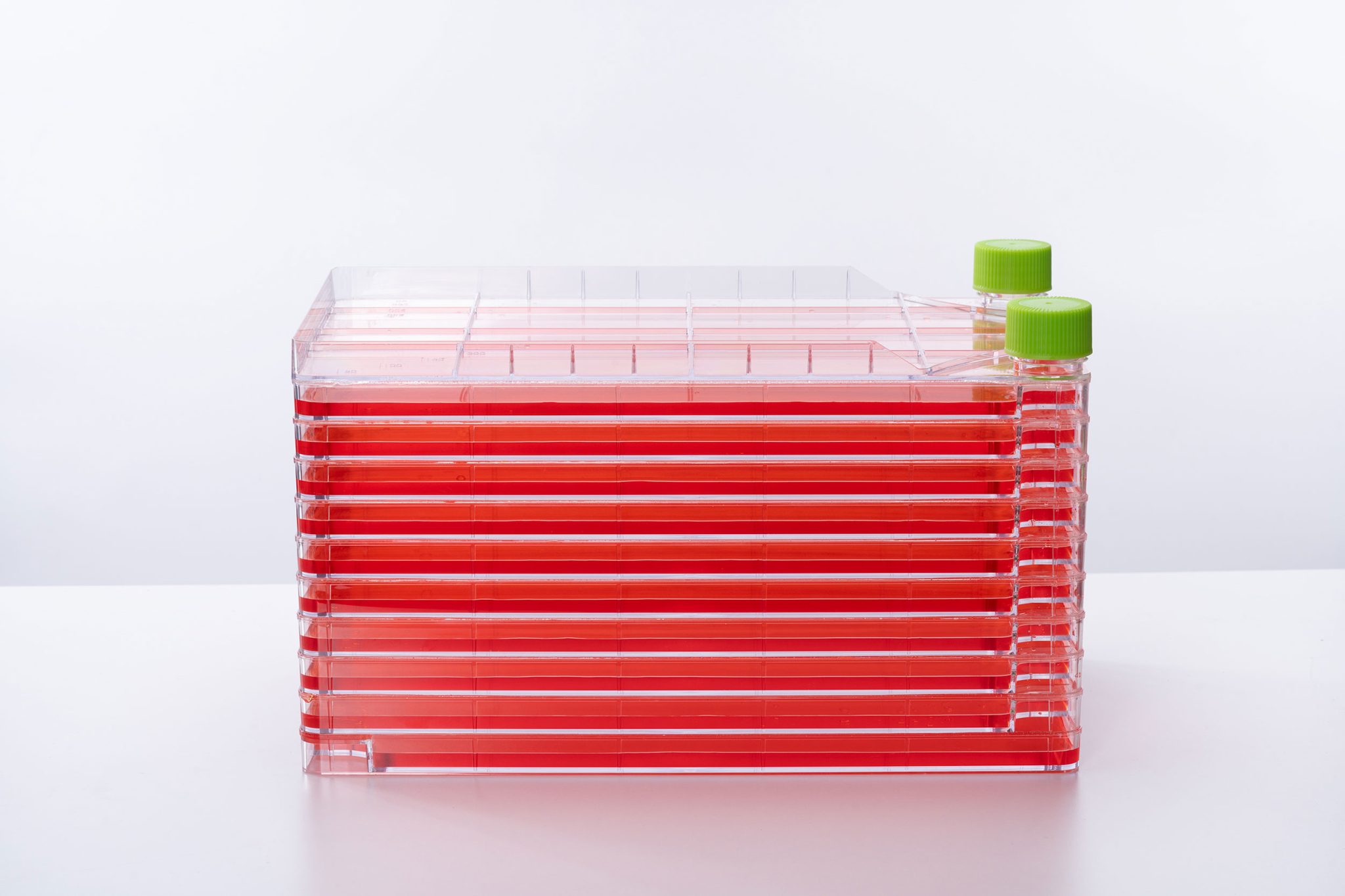 CELL FACTORY - Shanghai Biopal Co., Ltd.